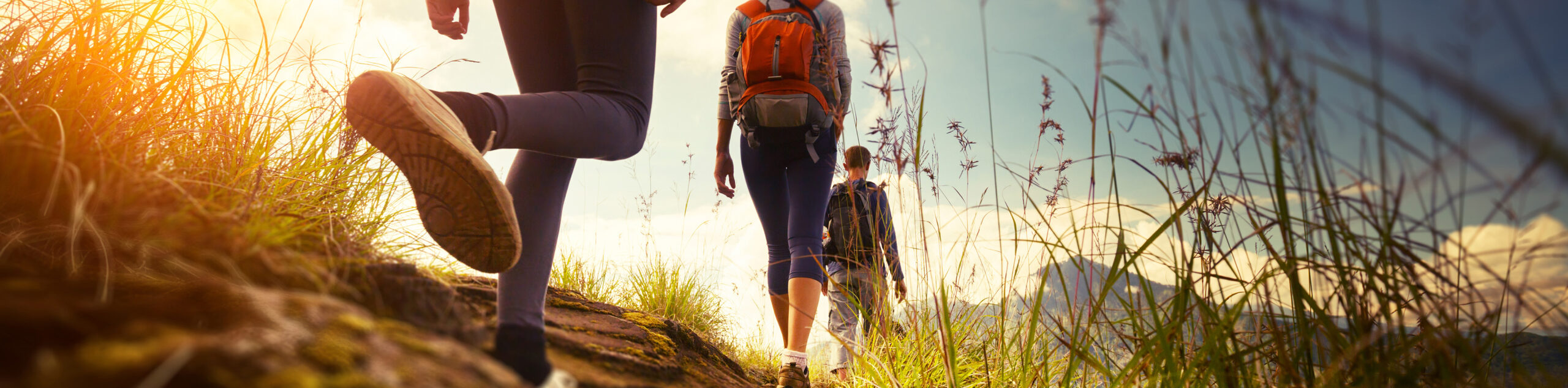 Nockolds Staff Take on Challenging Hike for Charity