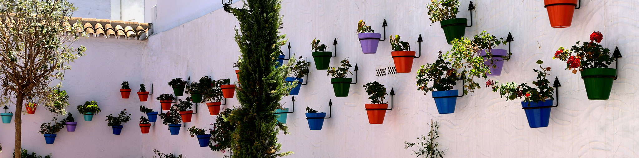 Our Services | English Law Firm | Nockolds Lawyers Spain